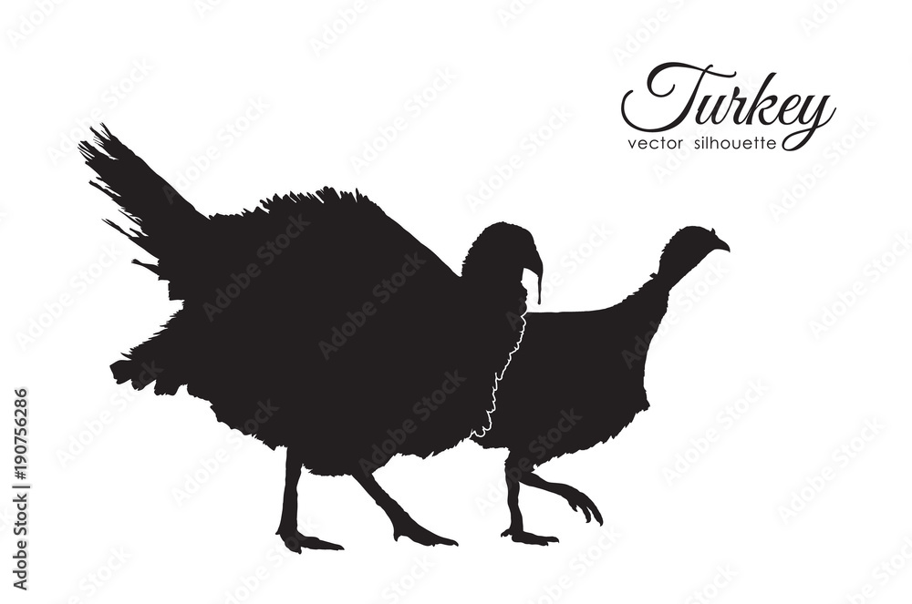 Vector illustration: Silhouette of couple turkeys Stock Vector | Adobe ...