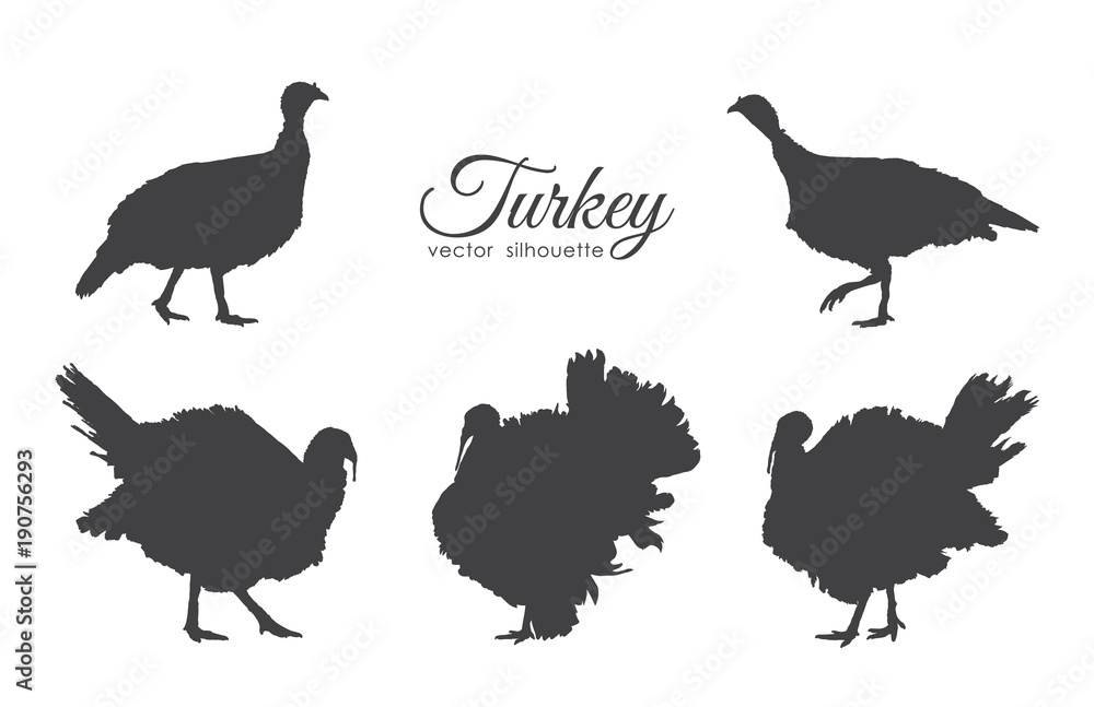 Set of turkeys silhouette isolated on white background. Stock Vector ...