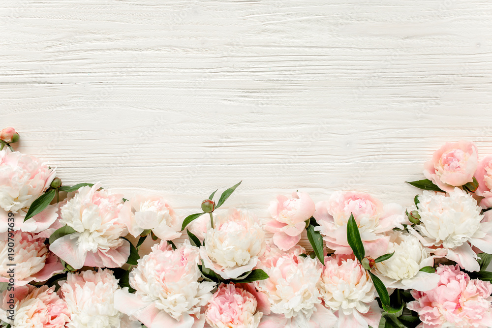 Beautiful floral pink and beige peonies flower buds, branches and ...