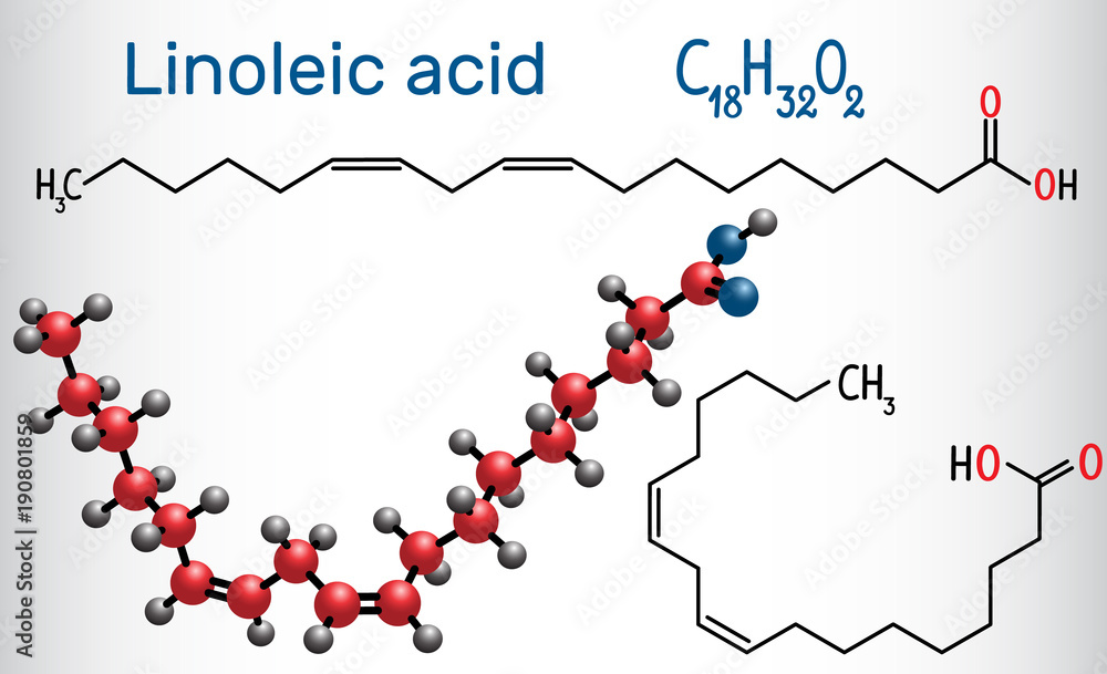 Linoleic acid (LA). Structural chemical formula and molecule model ...