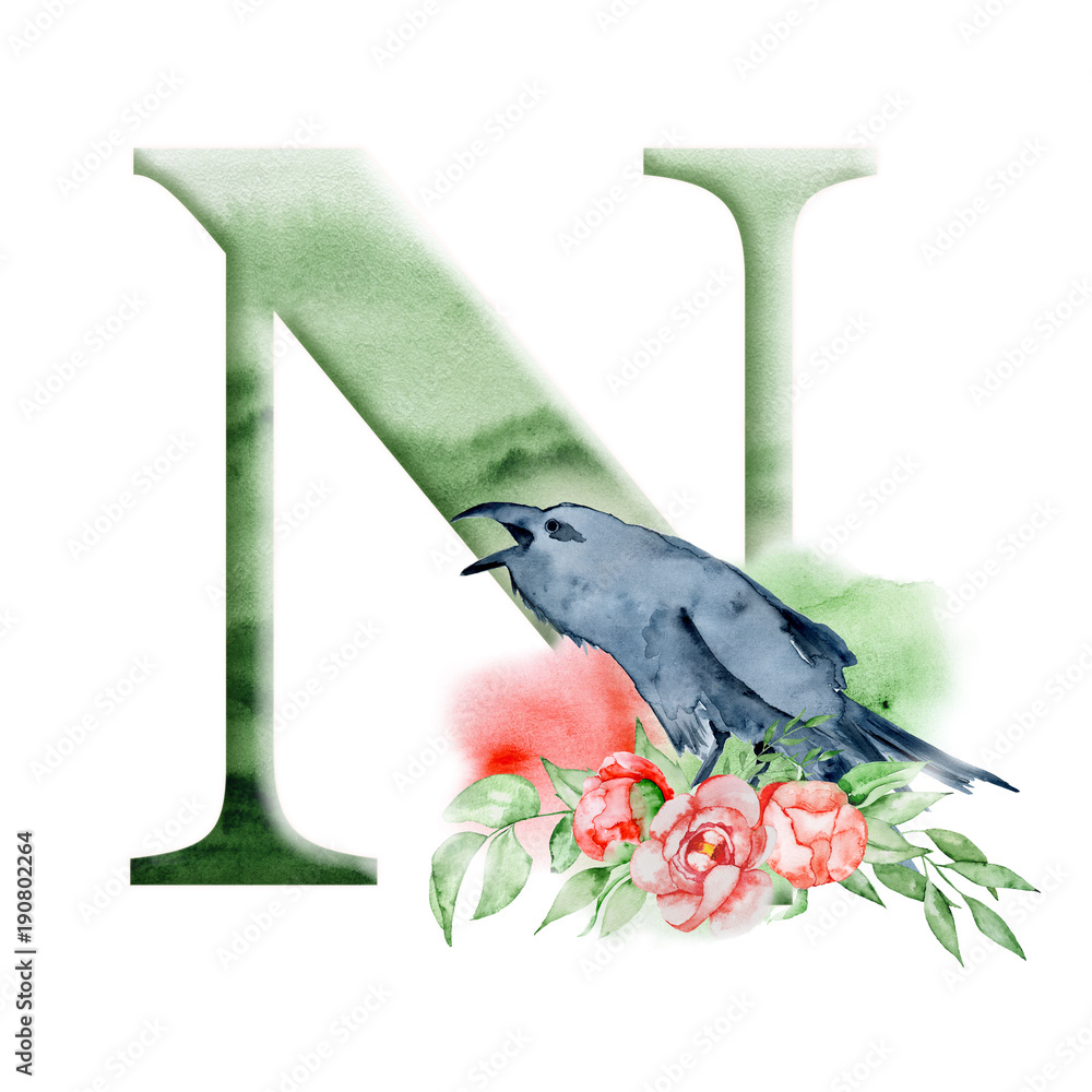 Floral watercolor alphabet. Monogram initial letter N design with hand ...