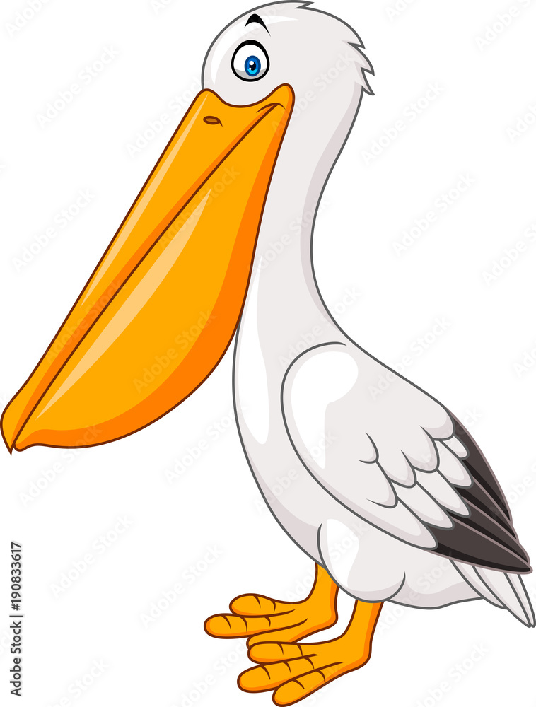 Cartoon pelican isolated on white background Stock Vector | Adobe Stock