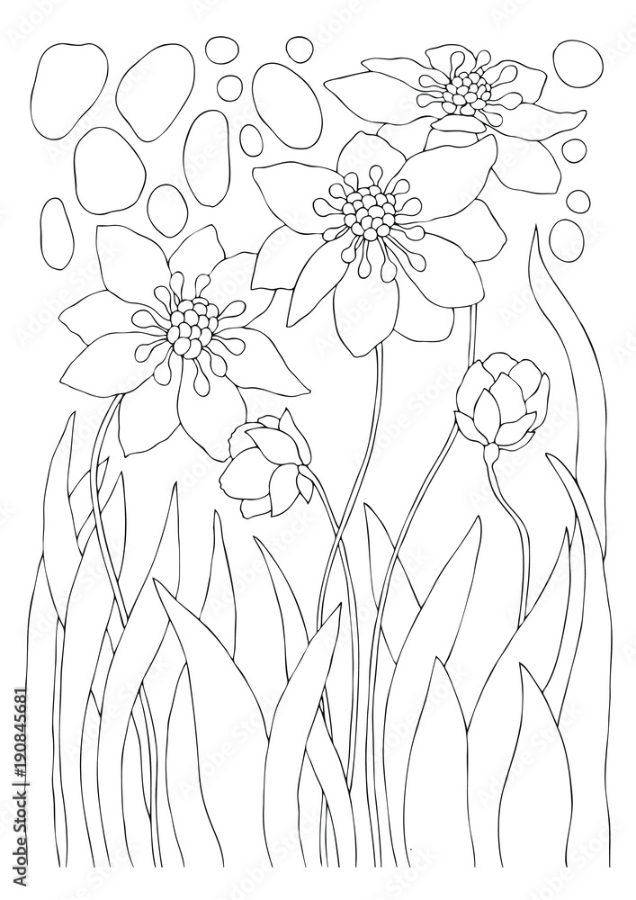 Amazing hepatica nobilis. Hand drawn picture. Vector illustration for ...
