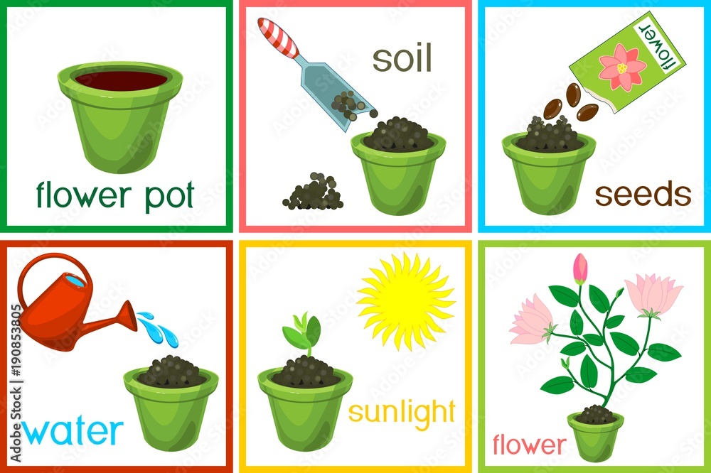 Instructions on how to plant flower in six easy steps with titles. Step ...
