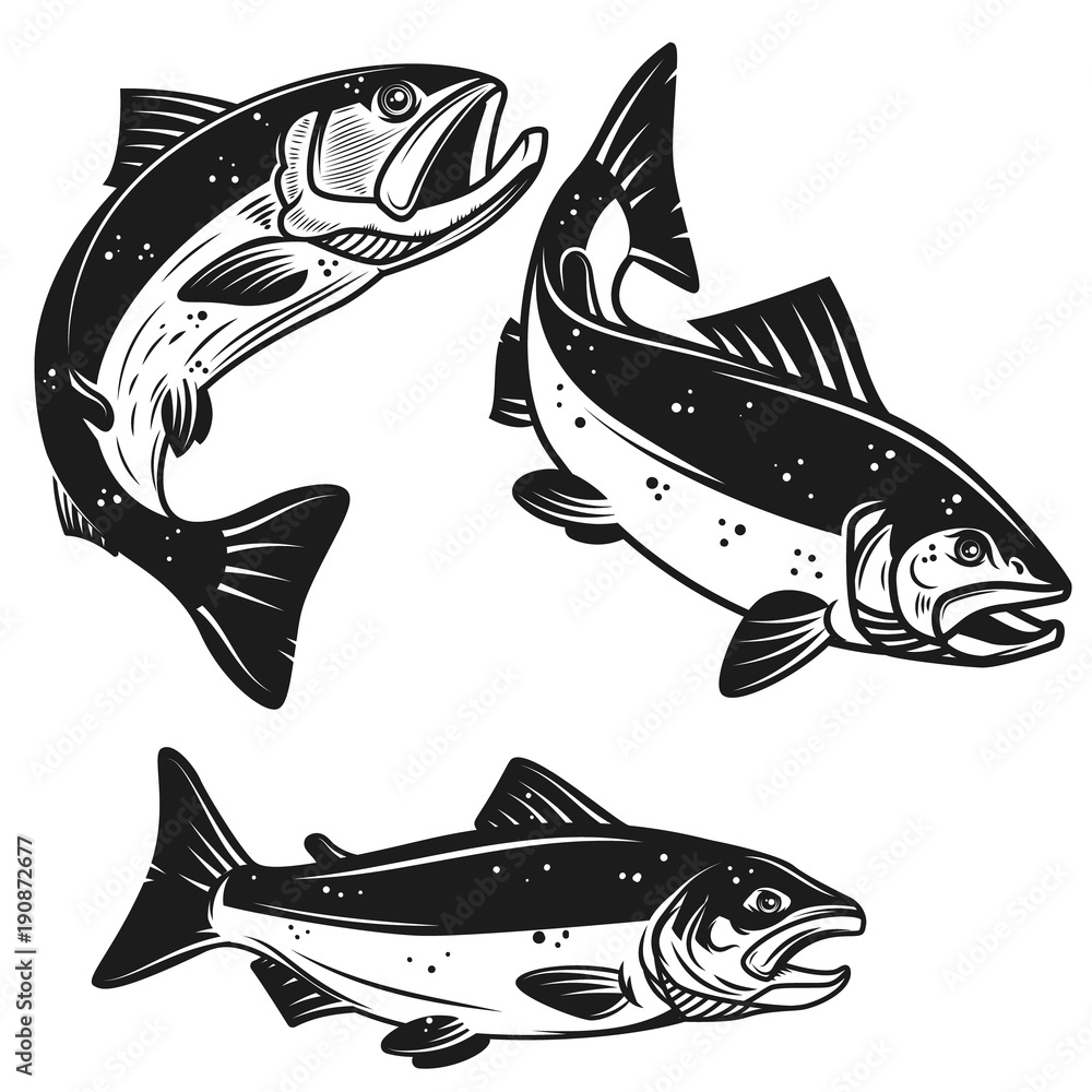 Set of salmon fish icons isolated on white background. Design element ...
