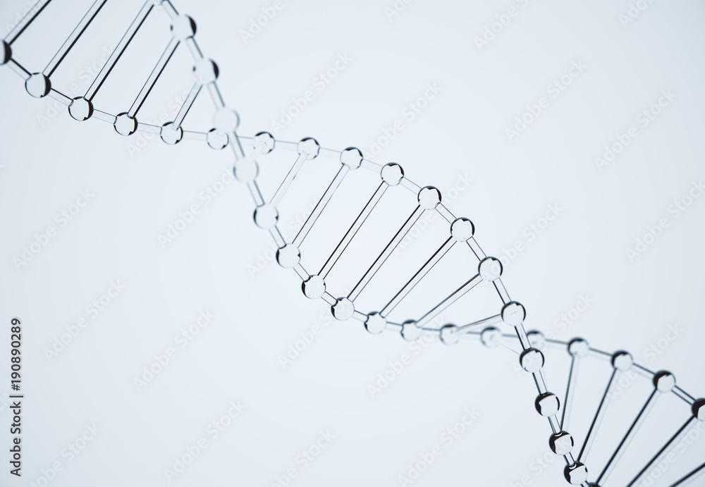 Glass DNA model,DNA structure 素材庫插圖 | Adobe Stock