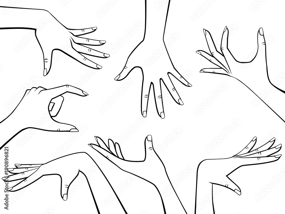 Vector Design Elements Set of Beautiful Woman Hands Black Outline ...
