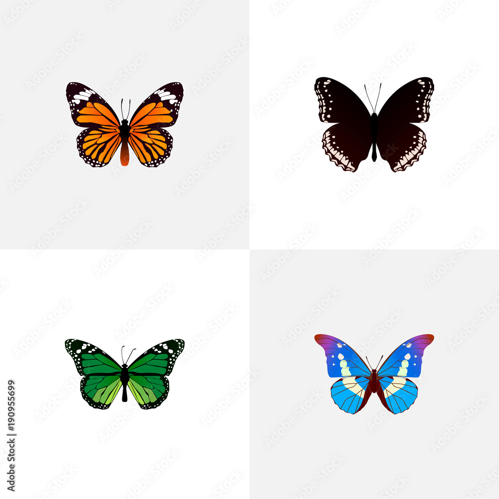 Set of beauty realistic symbols with morpho aega, green peacock, danaus ...