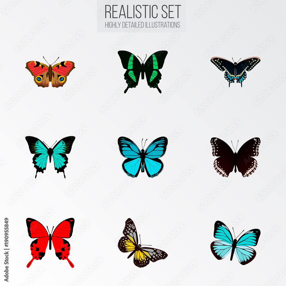 Set of butterfly realistic symbols with spicebush, precis almana ...