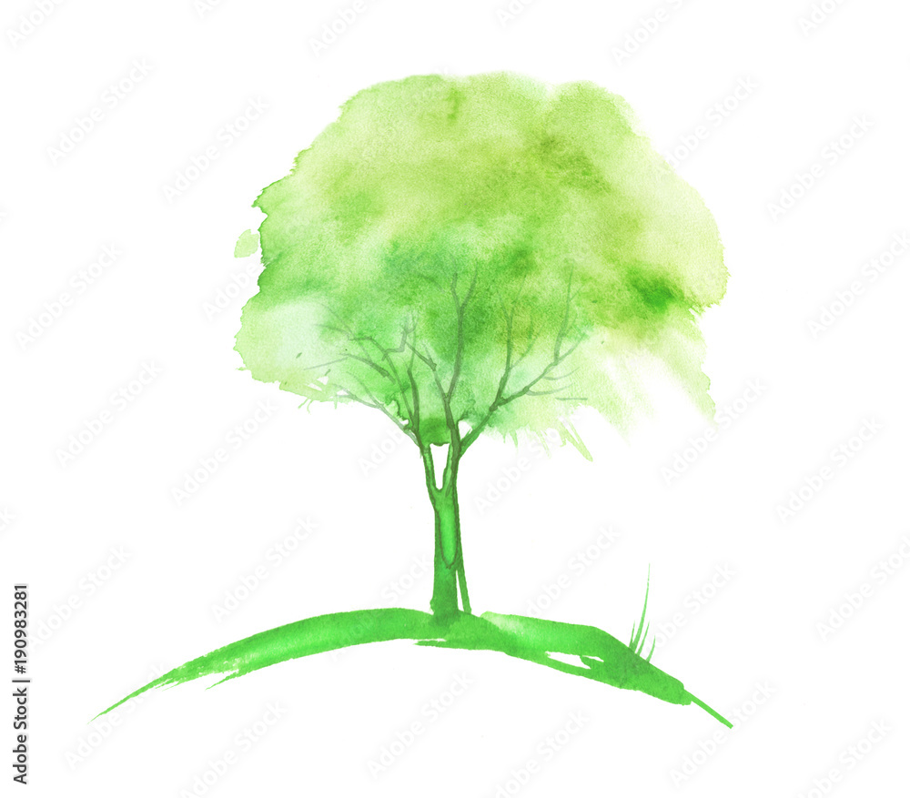 Watercolor green tree isolated on white background. Vintage drawing ...