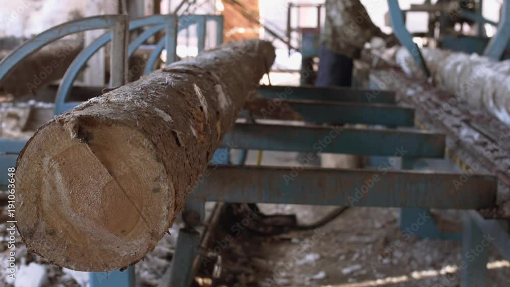 Woodworker loads big timber log on workbench with metal railing at ...