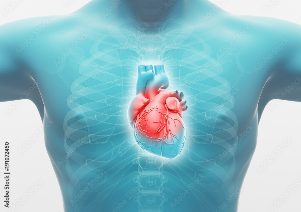 Vero Cuore Umano Malato