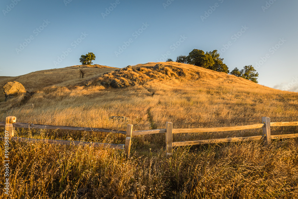 Mount Tam State Park Stock Photo | Adobe Stock