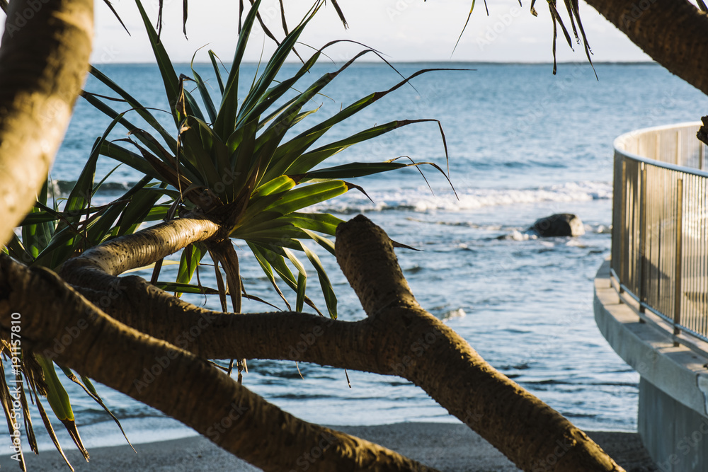Beach scene at Kings Beach in the Sunshine Coast, Queensland. Stock ...