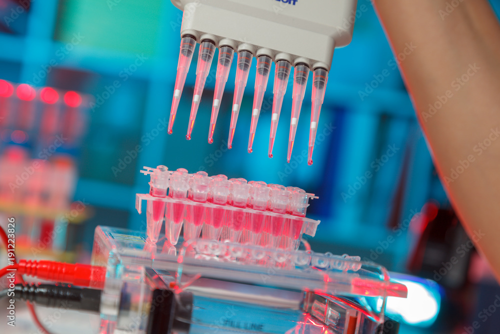 electrophoresis device in a genetics lab to decrypt the genetic code ...
