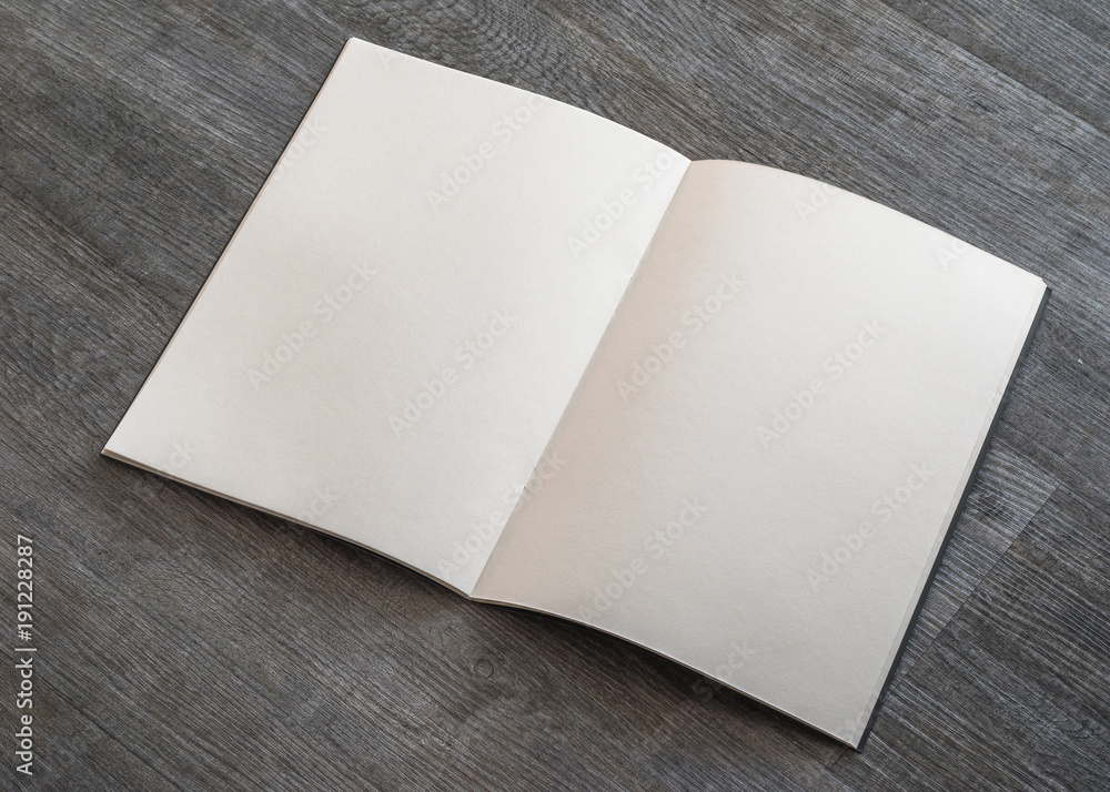 Blank open A4 size book, catalog, magazine, brochure, or booklet mock ...