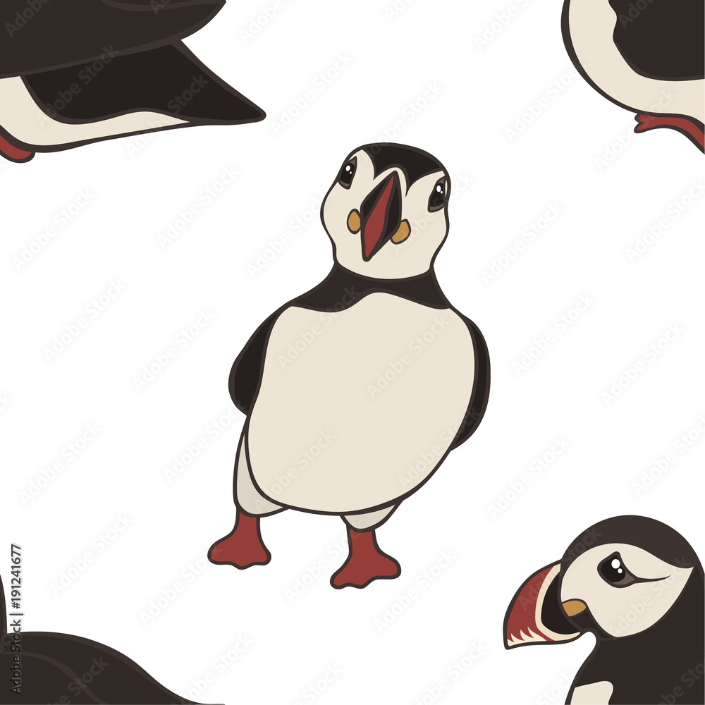 Vector seamless pattern with hand drawn atlantic puffins isolated on ...