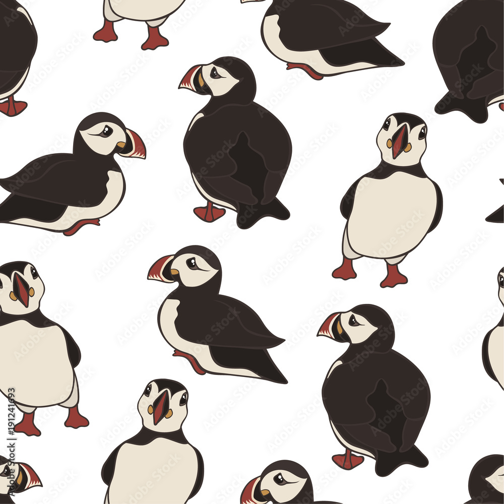 Vector seamless pattern with hand drawn atlantic puffins isolated on ...