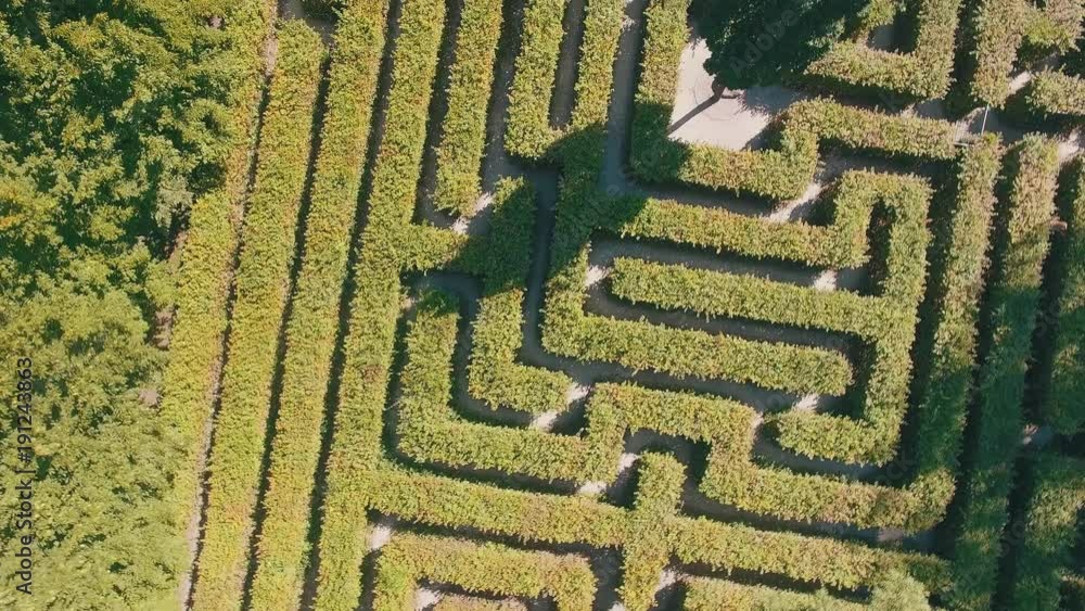 Hedge maze in city park. Labyrinth in the bushes. Beautiful summer in ...