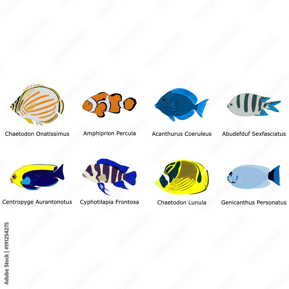 Fishes Cartoon Names Infoupdate Fishes Cartoon Names Infoupdate