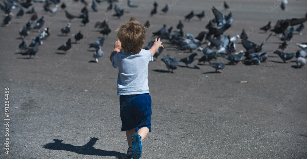 Сhild in city center runs for pigeons. Cute little boy trying to catch ...