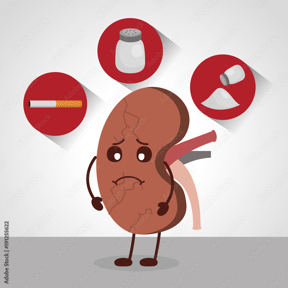 cartoon sad kidney human organ salt cigar vector illustration Stock ...