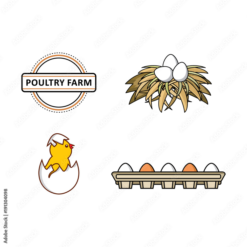 vector flat farm poultry symbols set. Chicken, small chick hatching ...