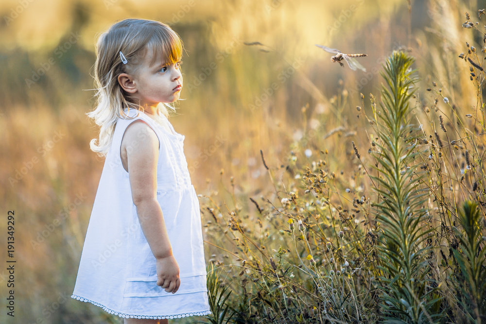 Little Girl Looking Odonata Bug Flying Stock Photo | Adobe Stock