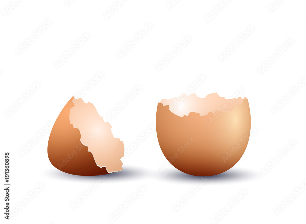 Realistic egg shell, isolated on white background Stock Vector | Adobe ...