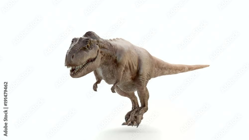 Tyrannosaurus Rex in motion of walking Stock Video | Adobe Stock