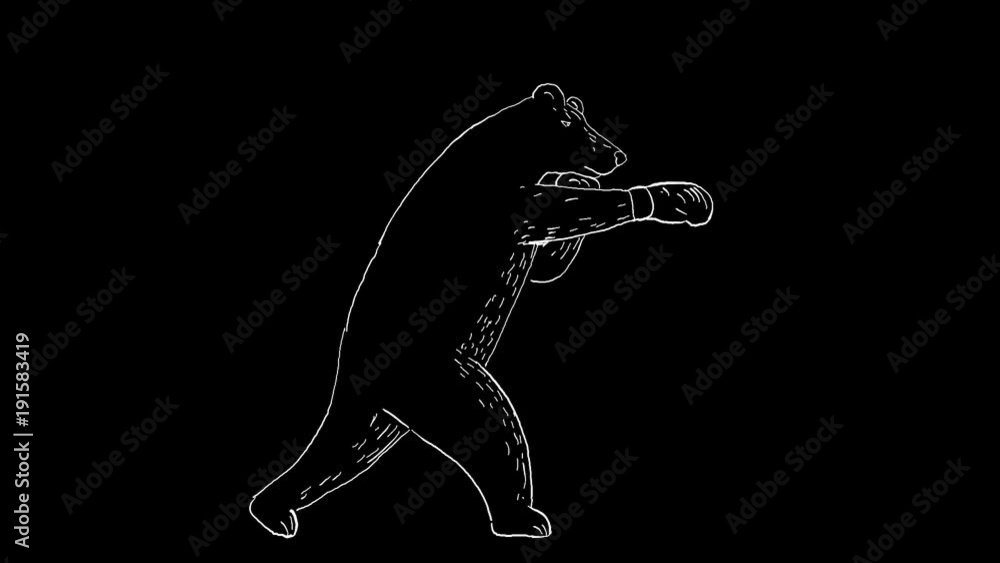 2d Animation motion graphics showing a grizzly bear boxing, punching ...