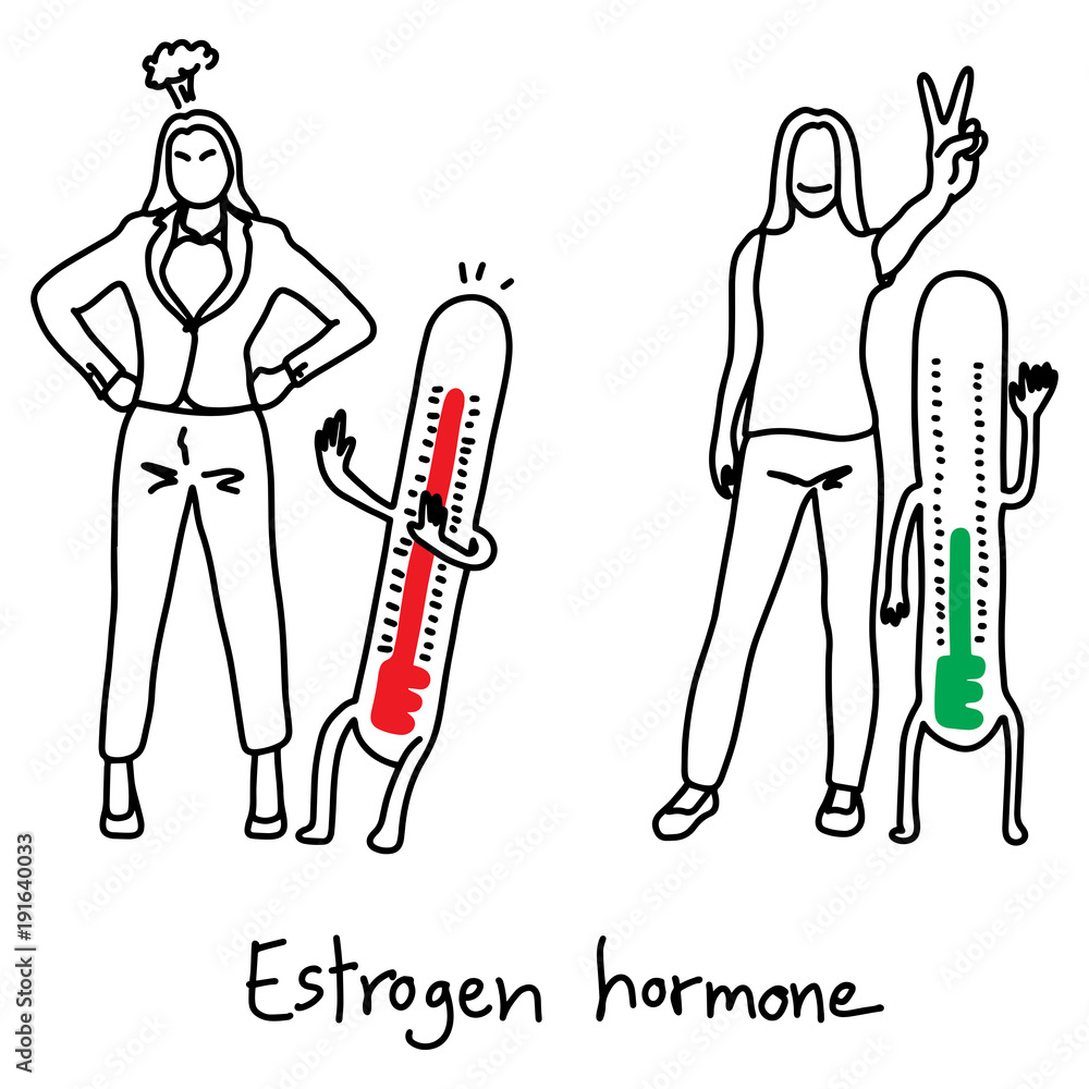 metaphor Estrogen hormone affects the mood swings of women vector ...