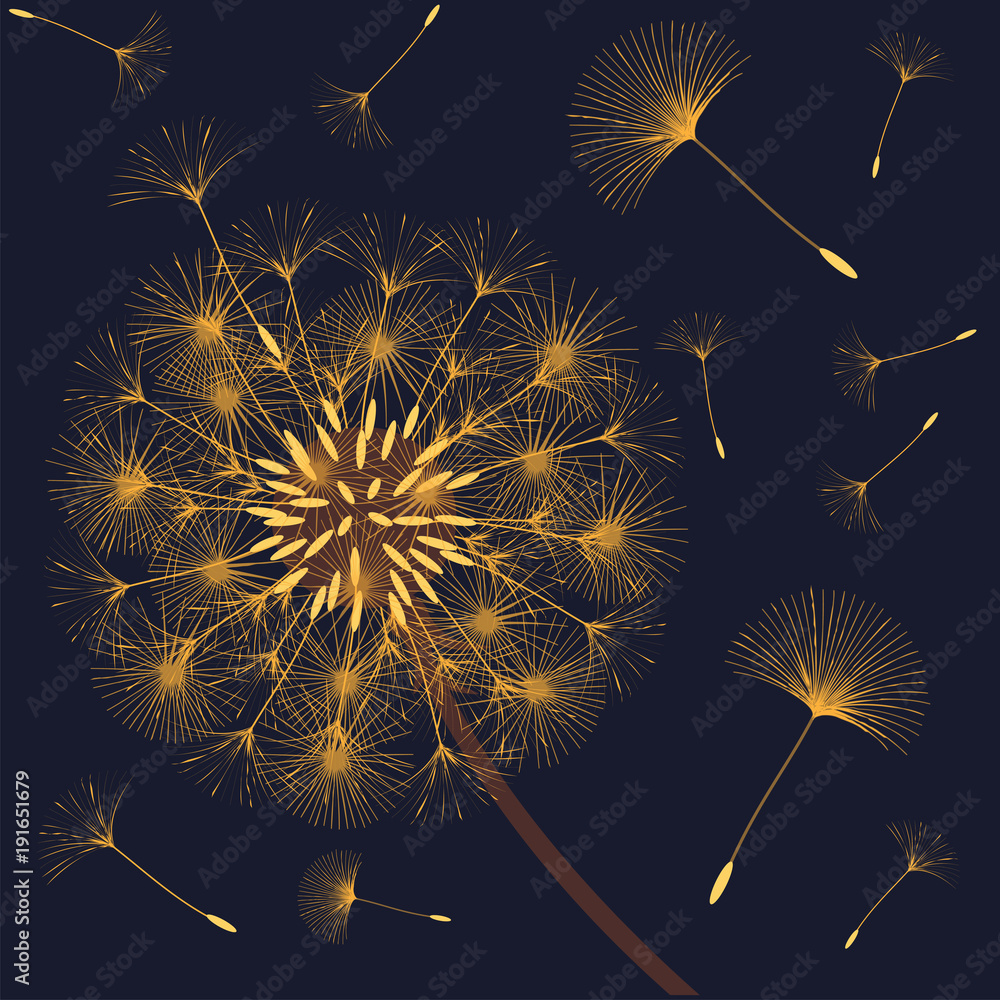 Abstract background of a dandelion for design. Stock Vector | Adobe Stock