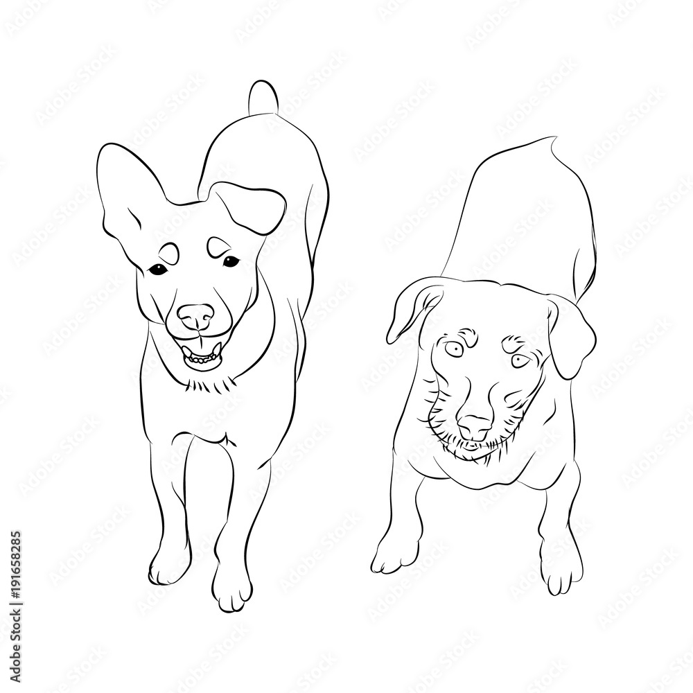 Two dogs top view Stock Vector | Adobe Stock