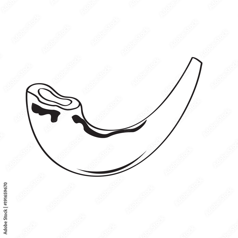 Jewish shofar outline Stock Vector | Adobe Stock