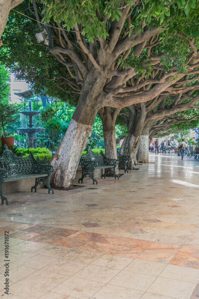 Center park, across from Theatro Juarez, with tile walkway, green iron ...
