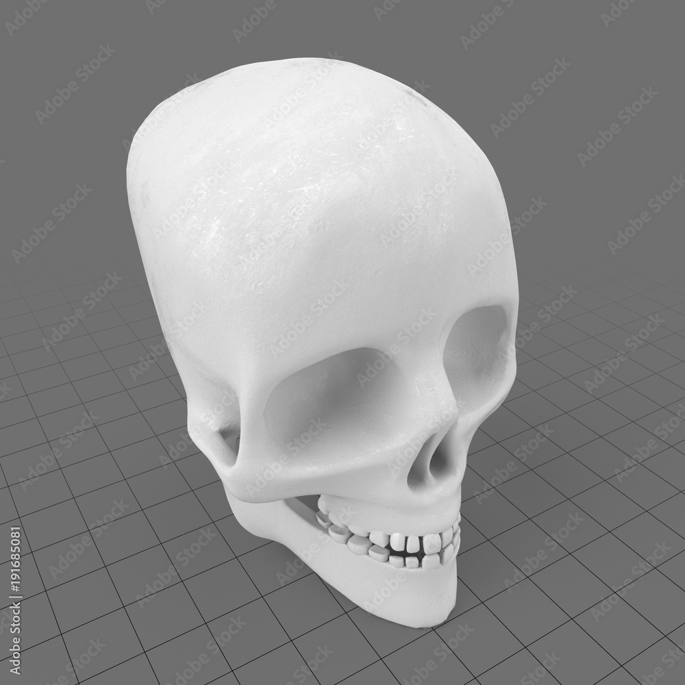 Stylized human skull Stock 3D asset | Adobe Stock