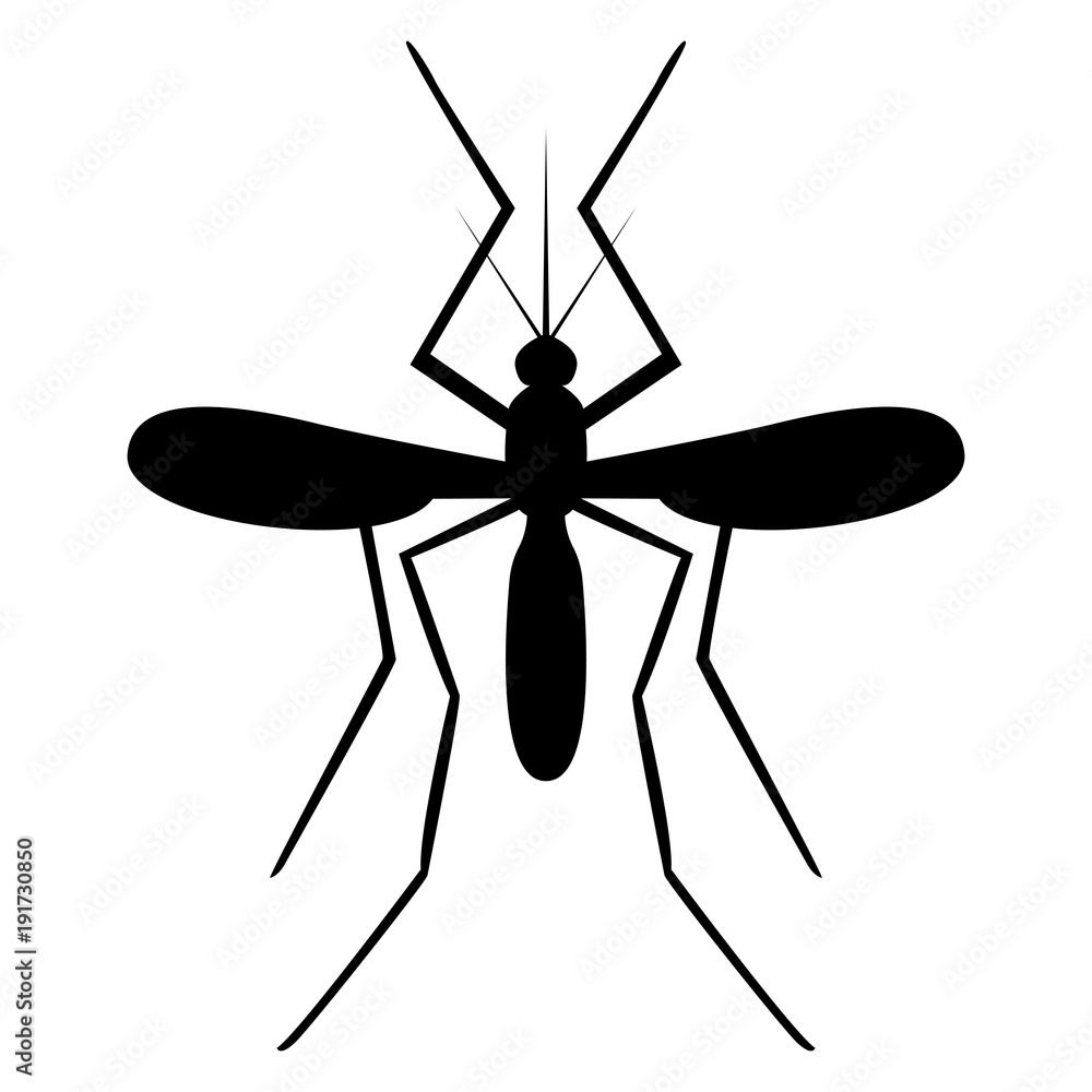 Vector image of a mosquito silhouette on a white background Stock ...