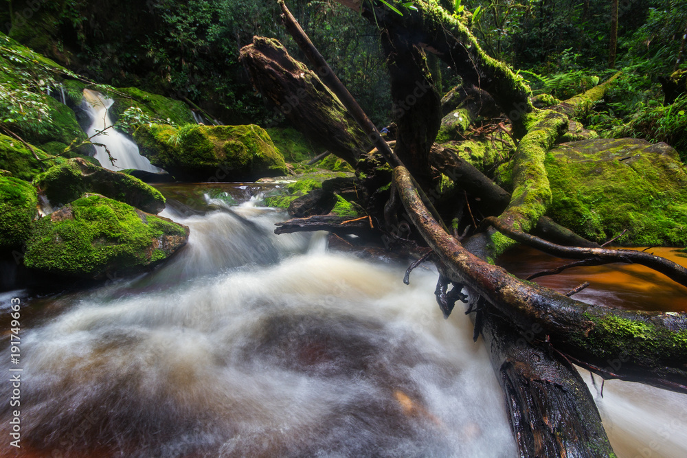 Pelaur camp waterfall with mossy rock and clean water, when heading ...