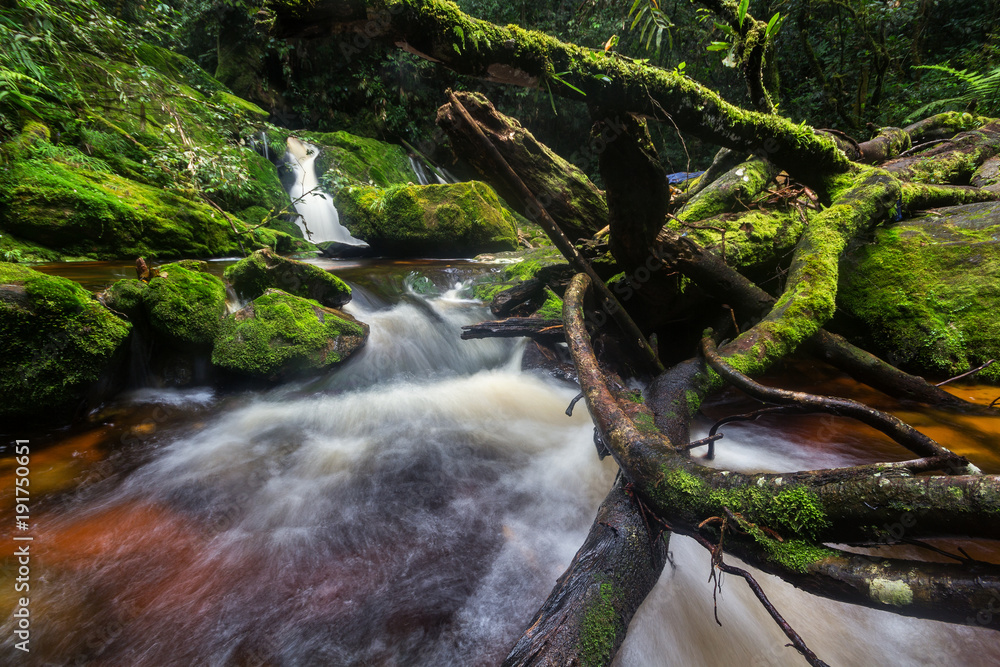 Pelaur camp waterfall with mossy rock and clean water, when heading ...