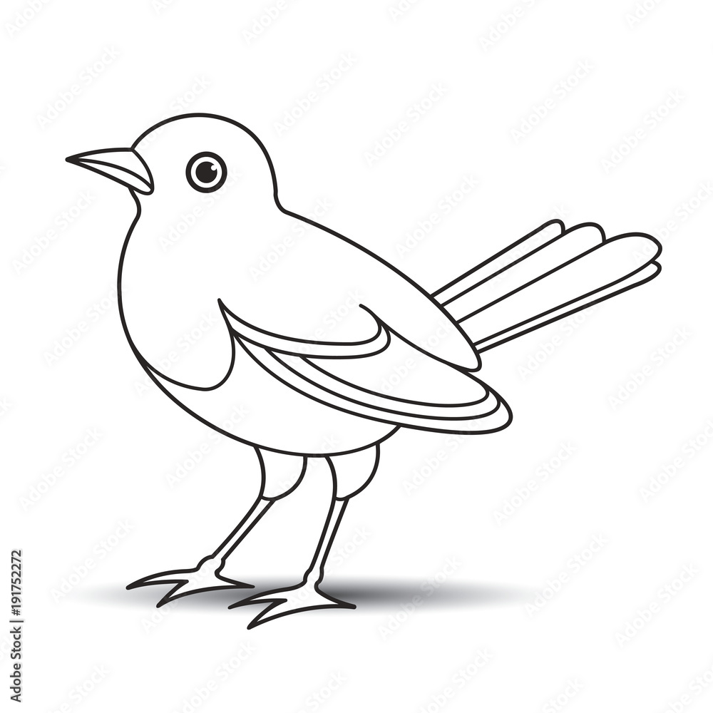 black outline isolated magpie bird vector cartoon Stock Vector | Adobe ...