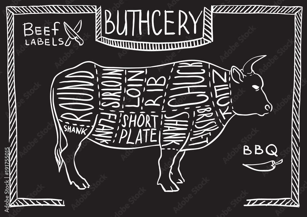 Butchers shop / Creative conceptual vector. Sketch hand drawn beef meat ...