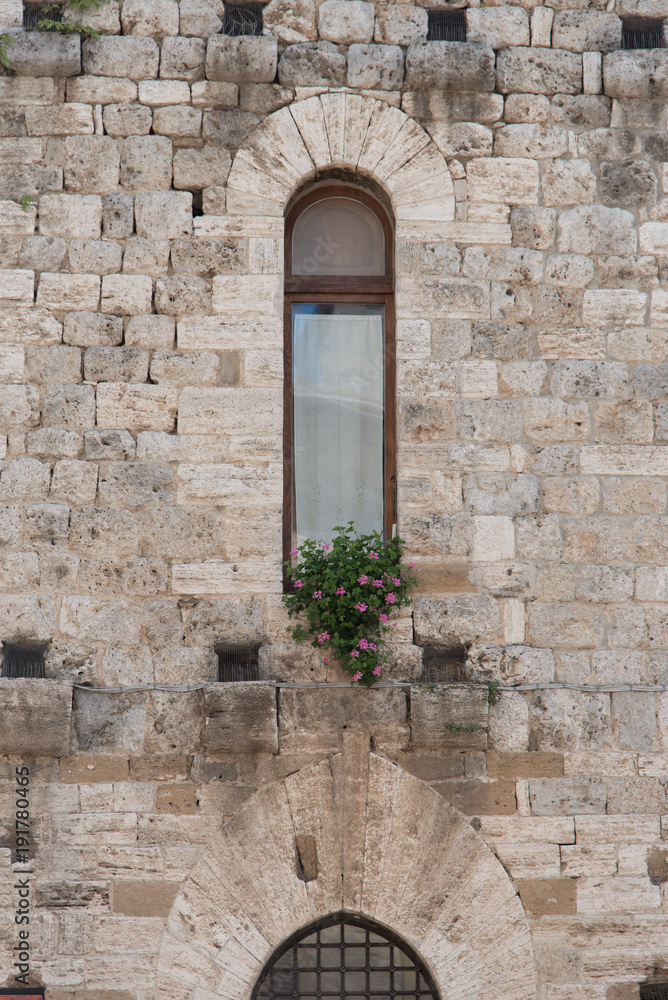 Arched window in an antique wall with window box pink geranium flower ...