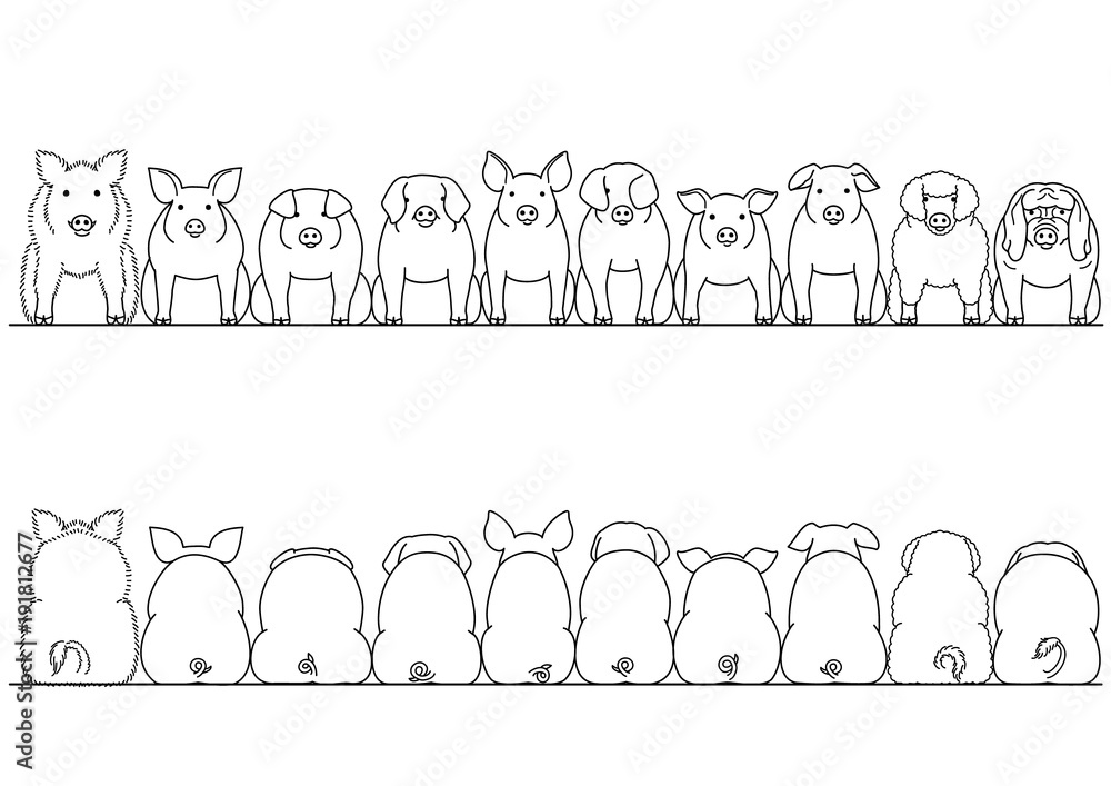 various breeds of pigs front and back border set Stock Vector | Adobe Stock