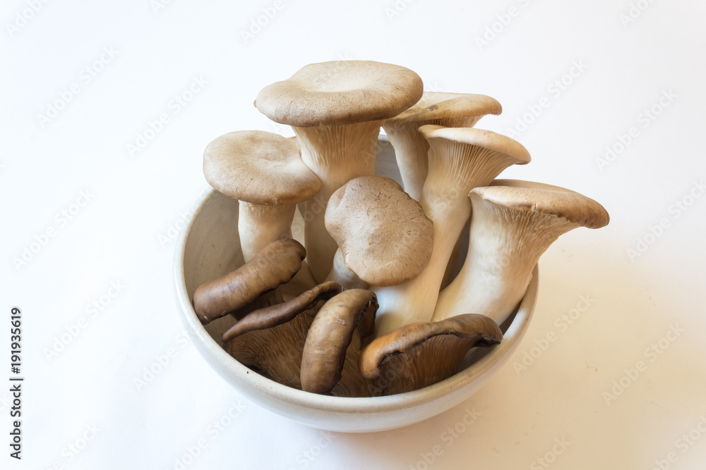 Small white bowl of Pleurotus eryngii King Trumpet Mushrooms and ...