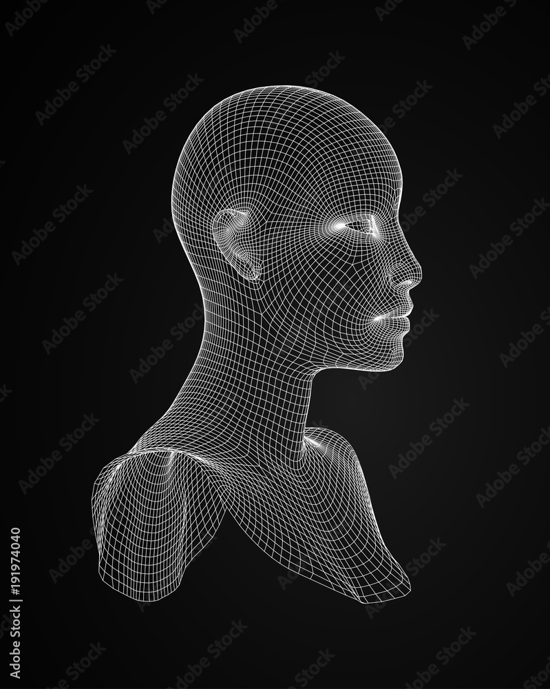 3d head wireframe vector. Drawing of wireframe head 3d model. Vector ...