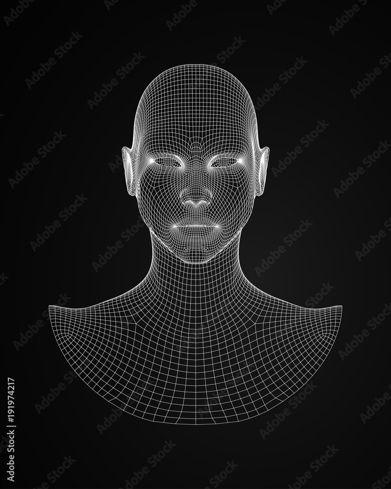 3d head wireframe vector. Drawing of wireframe head 3d model. Vector ...