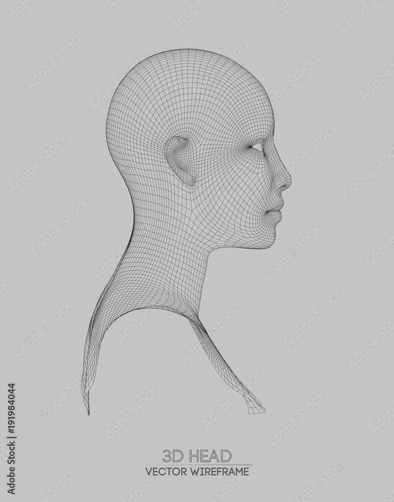 3d head wireframe vector. Drawing of wireframe head 3d model. Vector ...
