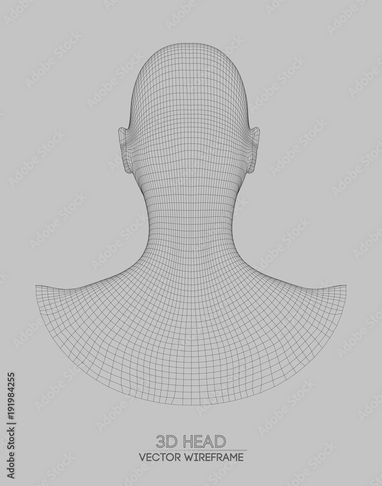 3d head wireframe vector. Drawing of wireframe head 3d model. Vector ...
