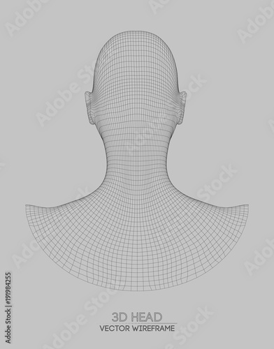 3d head wireframe vector. Drawing of wireframe head 3d model. Vector ...